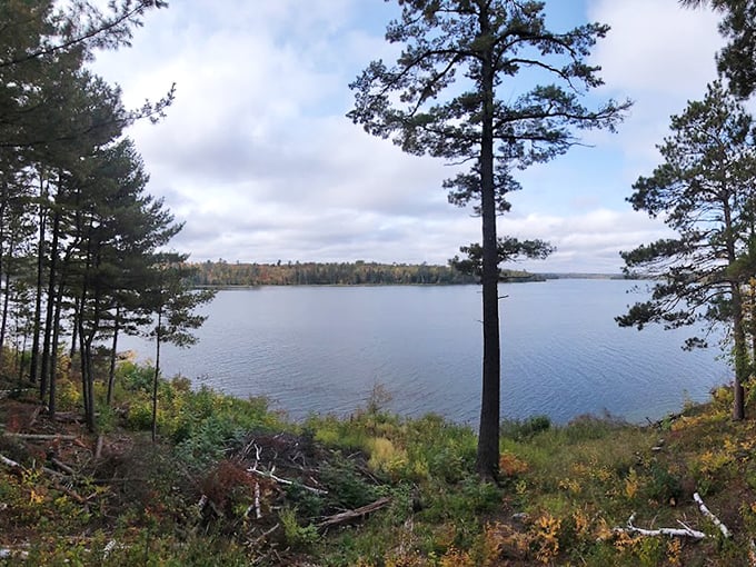 The lake view reveals why early settlers were awestruck by Minnesota's beauty, a postcard-perfect scene that no filter could improve.