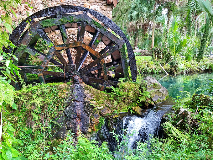 This water wheel has been turning with the current since before "going viral" meant anything other than getting sick.
