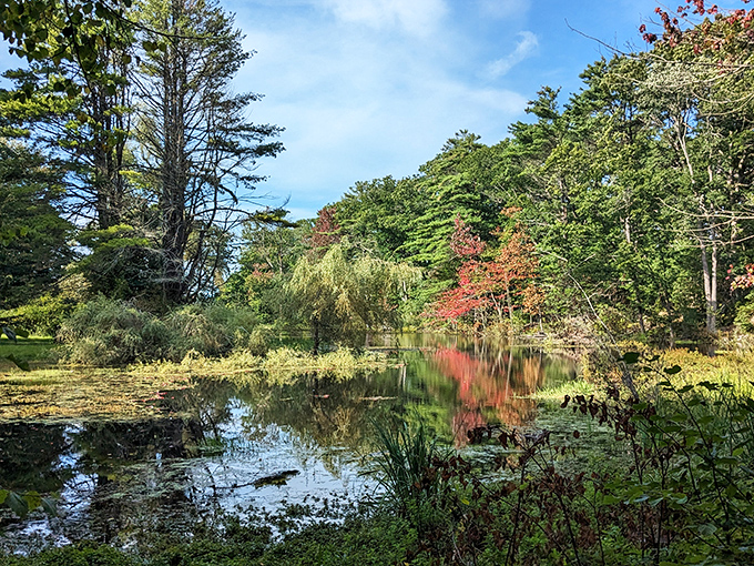 One of many contemplative spots on the monastery grounds, this serene pond reflects the surrounding trees in its mirror-like surface.