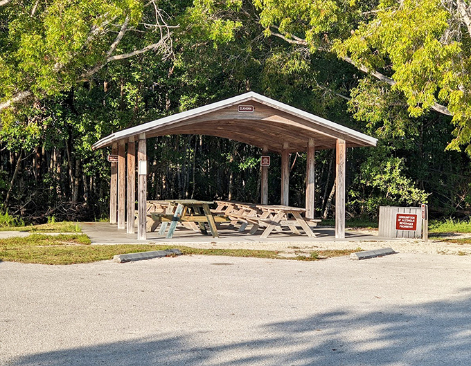 This rustic pavilion offers welcome shade and the perfect spot for a picnic after a morning of underwater adventures.