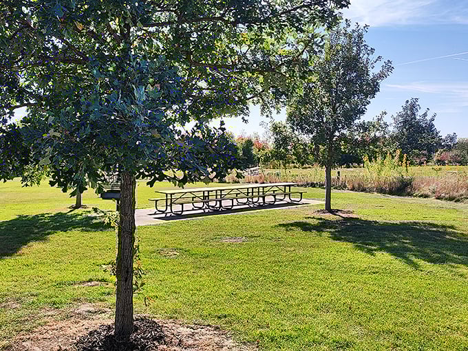 Shaded picnic tables await tired explorers and their snack-wielding parents &ndash; because adventure works up an appetite.