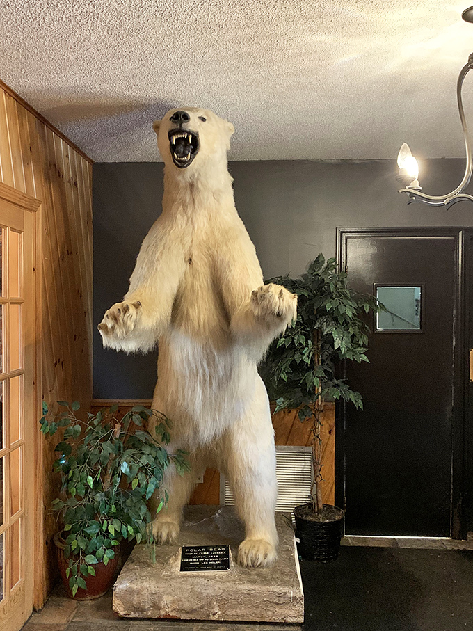 This polar bear greeter has been stopping guests in their tracks for years &ndash; the ultimate conversation starter!