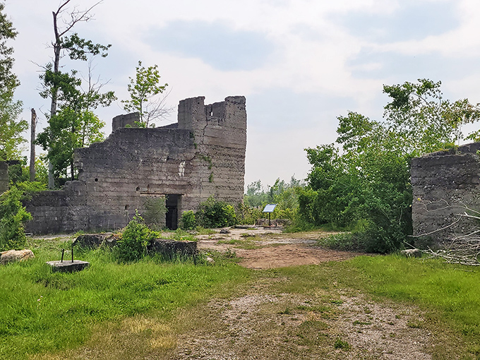 Nature slowly reclaims these industrial ruins, creating a poetic blend of human achievement and the persistent power of time.