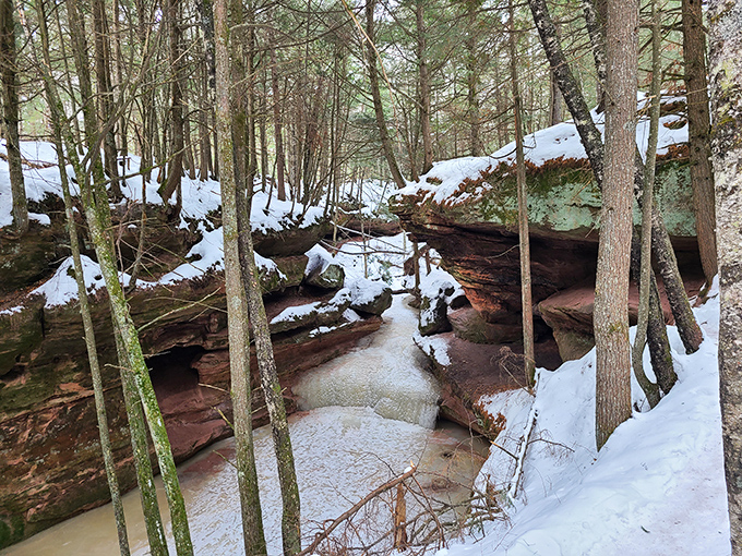 Frozen wonderland: Winter transforms familiar trails into an otherworldly landscape that sparkles with quiet magic.