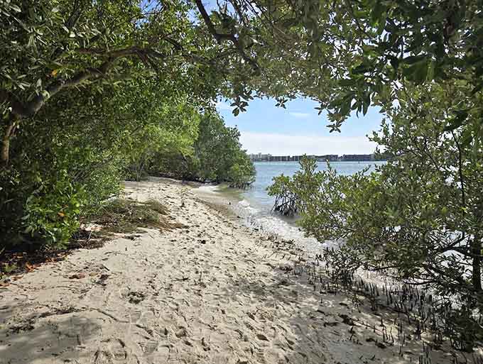 The sandy paths between the vegetation feel like secret passages to somewhere magical, because they basically are.