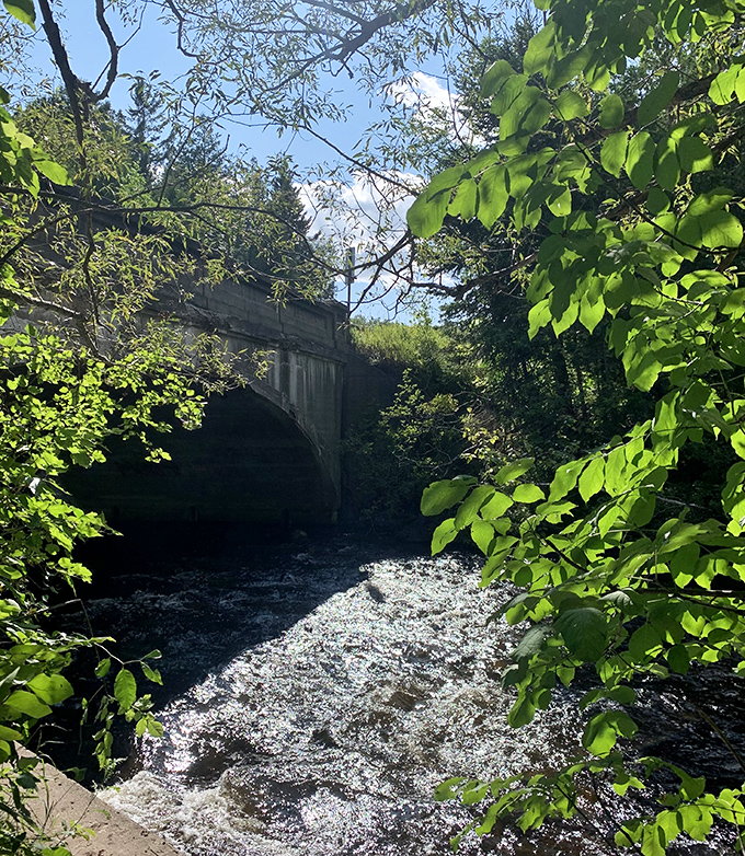 A concrete bridge frames the rushing waters below, offering both passage and perspective for those willing to pause.