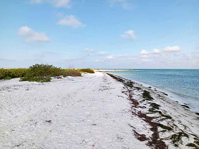 Solitude by the shore: The untouched coastline stretches into the distance, promising the increasingly rare luxury of beach space without crowds.