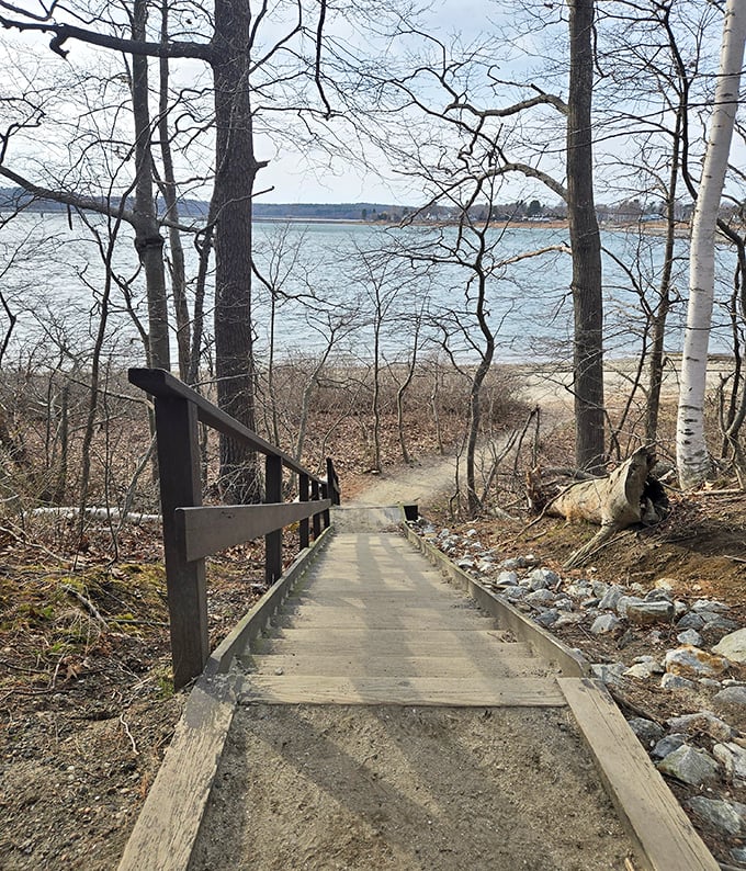 Wooden steps descend to hidden coves, each turn revealing another postcard-worthy vista of Casco Bay.