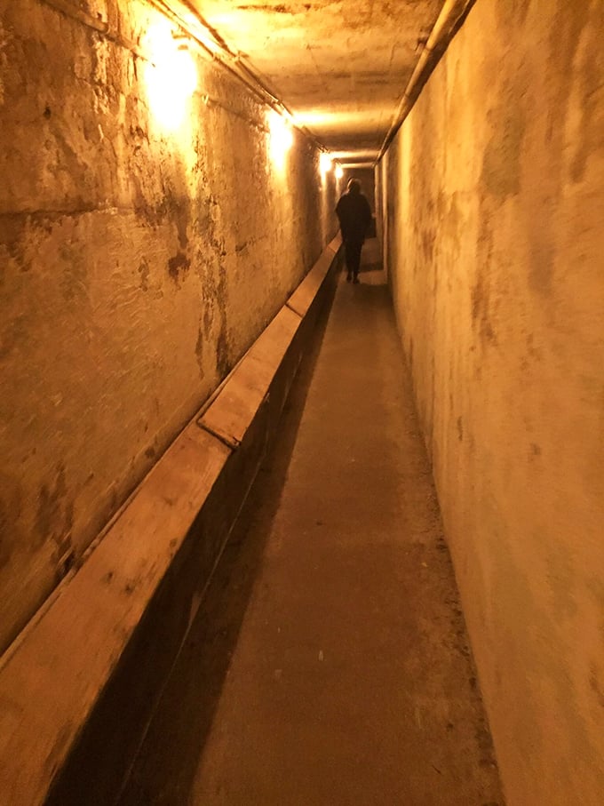 The underground tunnel stretches ahead, a testament to one man's determination to reach for the stars without braving winter.