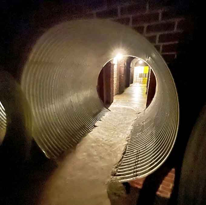 Metal tunnels lead visitors deeper into the classified facility, where each turn reveals new mysteries and government "secrets."