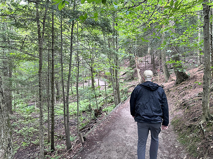 A solitary explorer contemplates the path ahead, demonstrating the human scale against Michigan's magnificent forest backdrop.