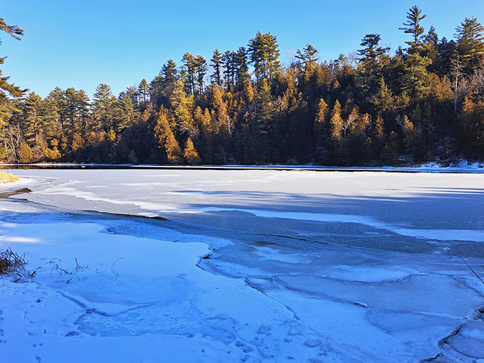 Winter's artistic touch transforms the preserve into a crystalline wonderland where frozen waters pause in breathtaking stillness.