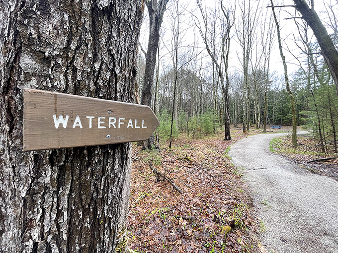 Follow the wooden signs and discover what lies beyond &ndash; nature's treasures await just around the bend.