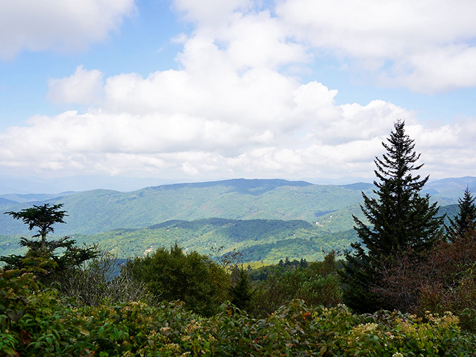The Oconoluftee Valley Overlook offers a sweeping panorama of mountain majesty. The Great Smokies earned their name from the misty blue haze that hangs in the air.
