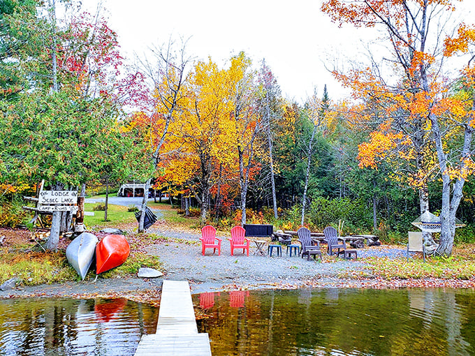 Fall foliage creates a spectacular backdrop at Sebec Lake, where canoes wait for one last paddle before winter arrives.