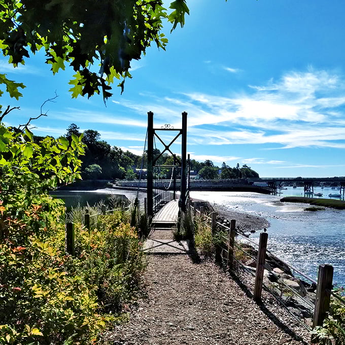 The Wiggly Bridge stretches across a peaceful tidal inlet, its narrow wooden walkway and steel cables creating a miniature suspension bridge.