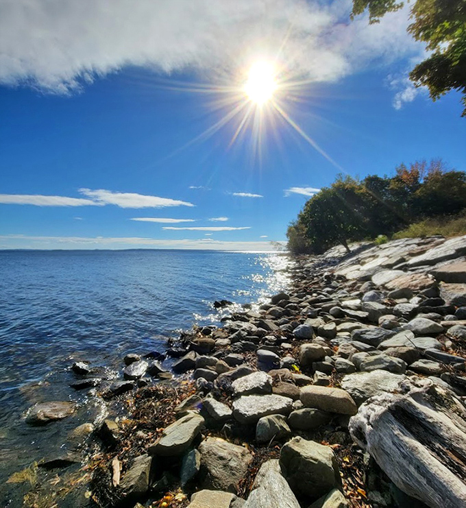 Morning sunlight illuminates Belfast's rocky shoreline, where sea glass hunters discover colorful pieces of the past with each changing tide.