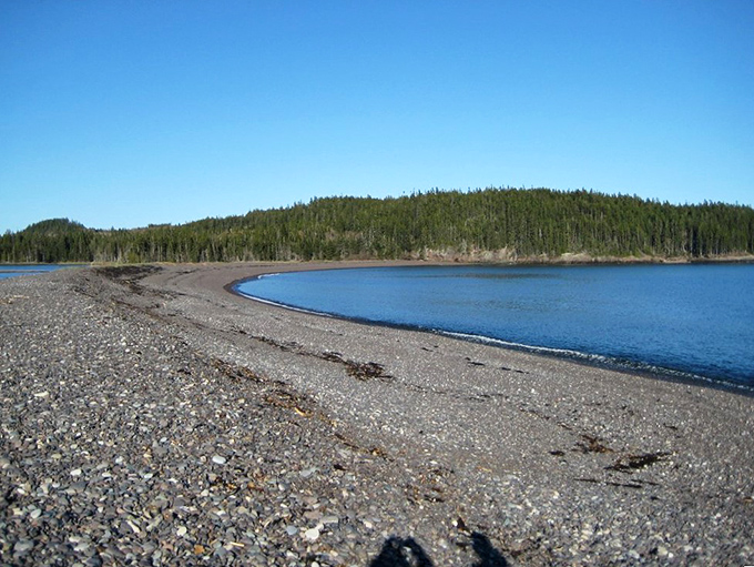 The curved shoreline of Jasper Beach showcases Maine's rugged beauty, with evergreens standing watch over the stones.
