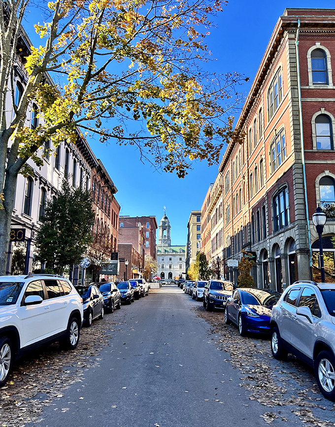 A peaceful street framed by golden leaves and classic architecture, leading straight into the heart of a town that feels both timeless and welcoming.