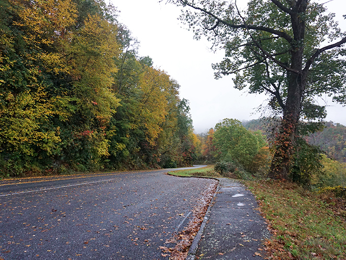 Layers of mountains create a stunning backdrop at Oconoluftee Valley Overlook. Mother Nature showing off her talent for landscape design!