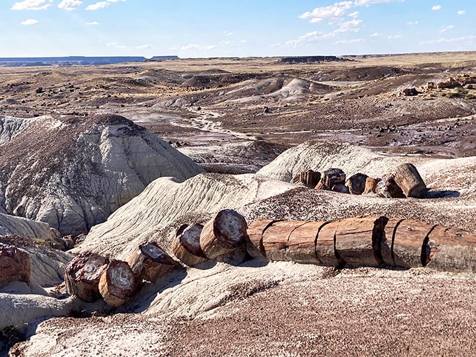 The otherworldly terrain of Petrified Forest National Park showcases nature's patient artistry, with fossilized logs resting on eroded badlands.