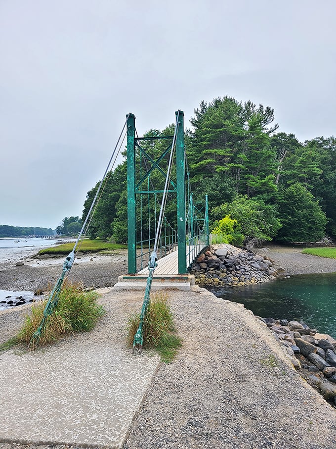 This charming pedestrian bridge earned its name honestly &ndash; the slight bounce and sway as you cross creates a surprisingly thrilling experience.