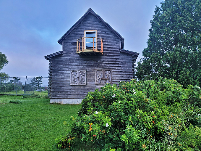 The weathered wooden structure in Trenton tells tales of Maine's agricultural past, with its rustic charm perfectly preserved.