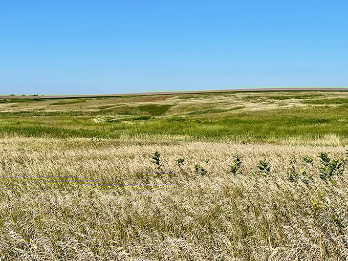 Western Minnesota's prairie stretches to the horizon under an endless blue sky, a sea of grass that changes with every season and breeze.