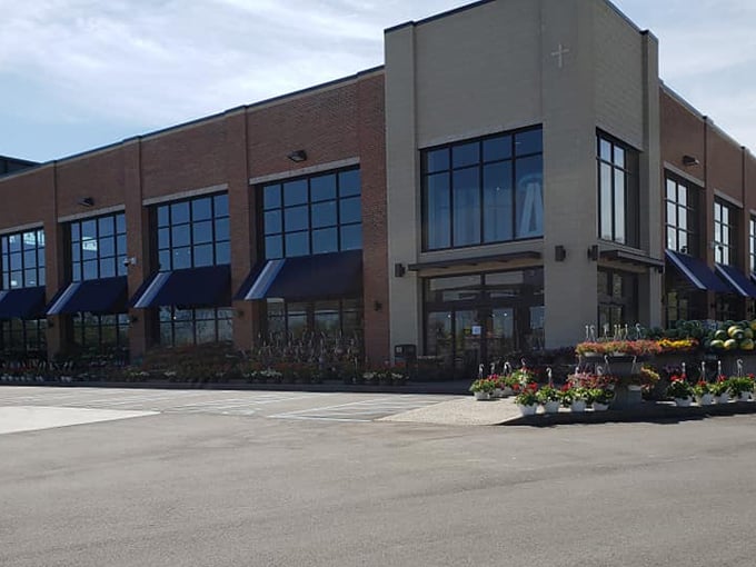 alexs gourmet market 2