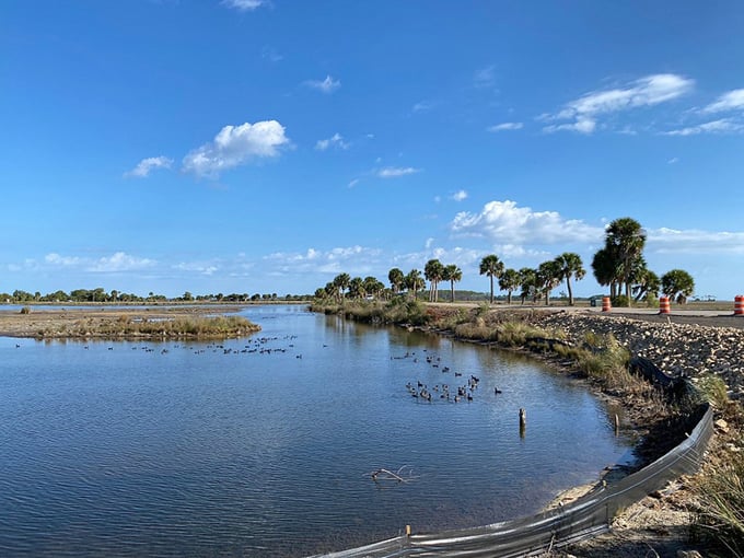 big bend scenic byway 5