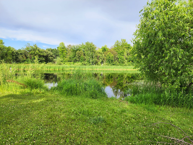 big bog state recreation area 2