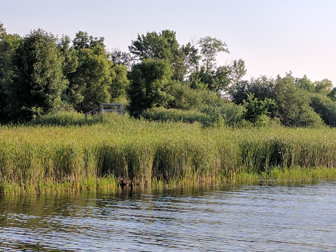 big bog state recreation area 7