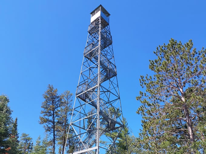 big bog state recreation area 8