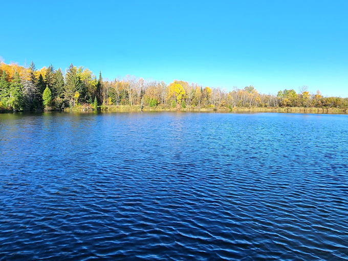big bog state recreation area 9