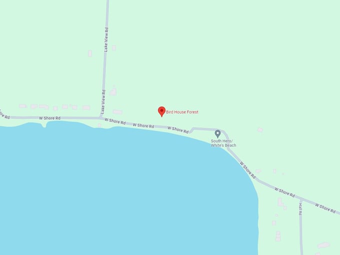 bird house forest 10 map