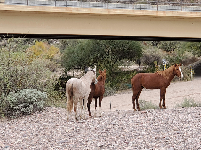 blue point recreation area 5