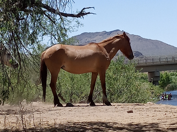 blue point recreation area 6