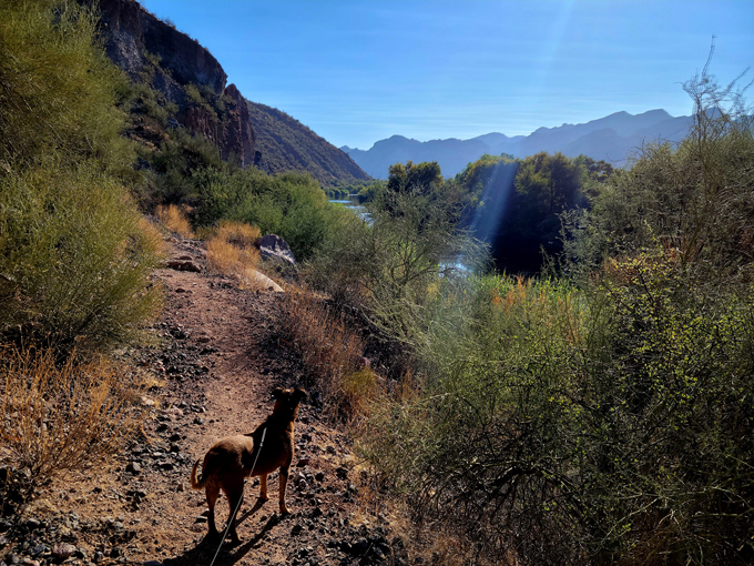 blue point recreation area 8