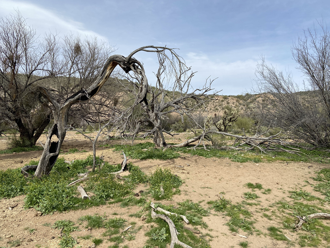 blue point recreation area 9