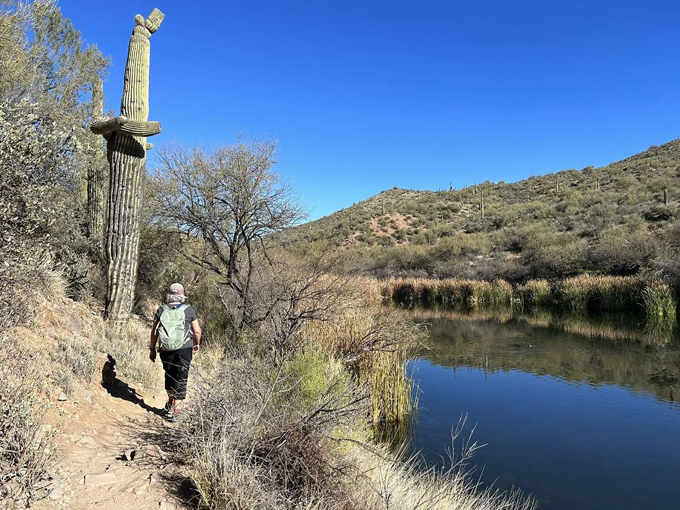 butcher jones trail 1