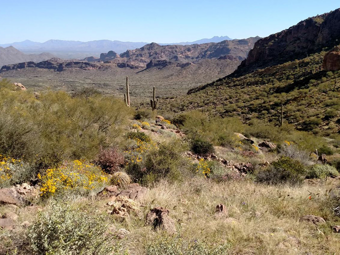 butcher jones trail 2