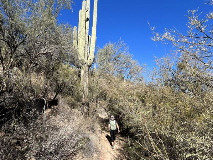 butcher jones trail 3