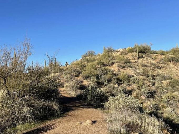 butcher jones trail 5