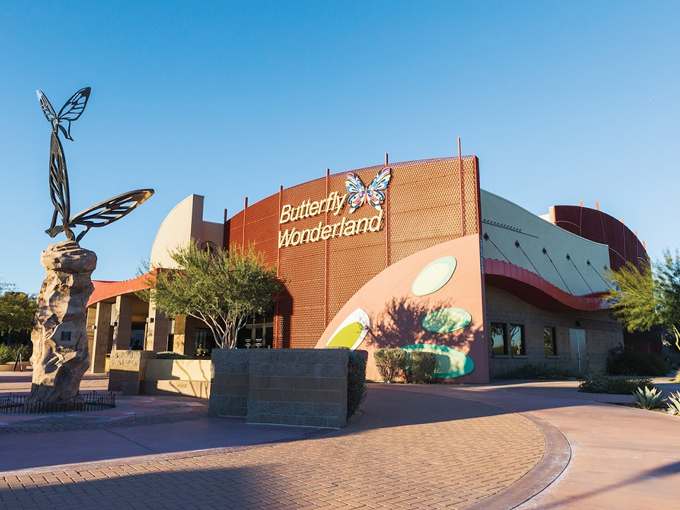 Butterfly Wonderland 1