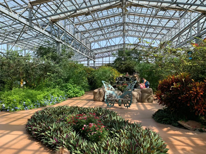 Butterfly Wonderland 3