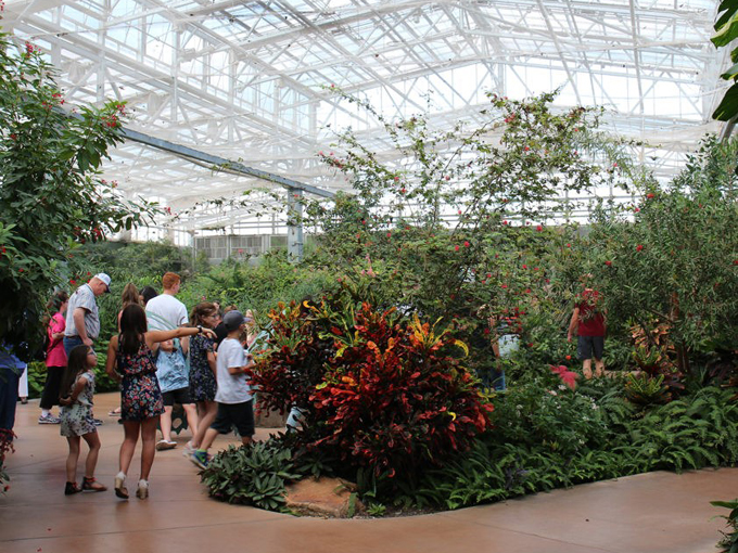 Butterfly Wonderland 4