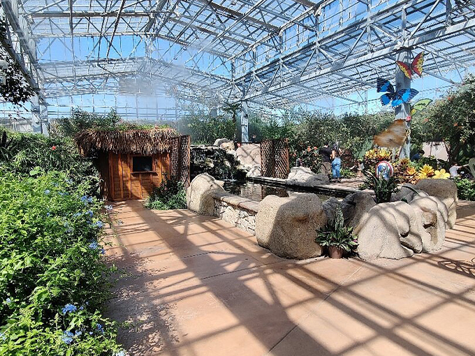 Butterfly Wonderland 6