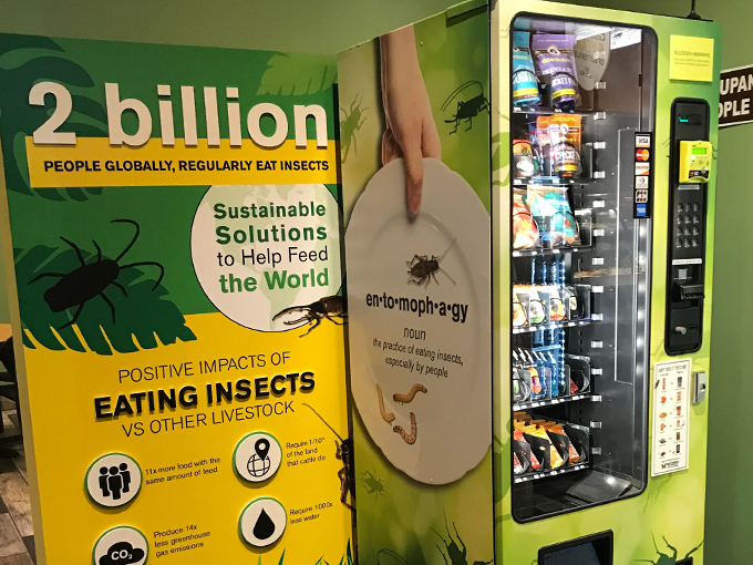 Butterfly Wonderland 7