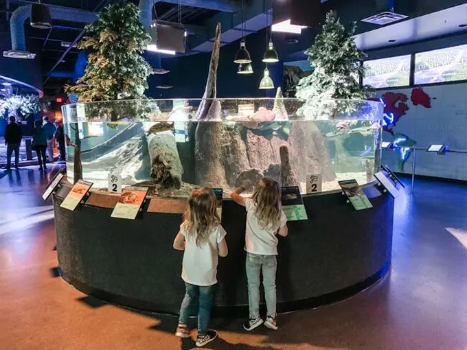 Butterfly Wonderland 8