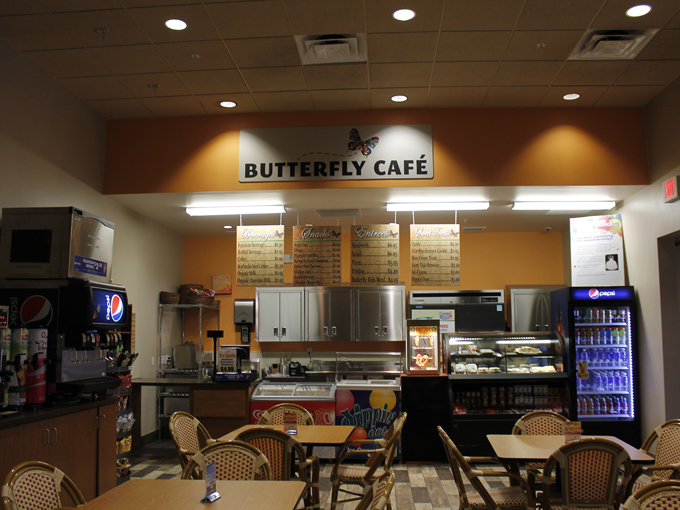 Butterfly Wonderland 9